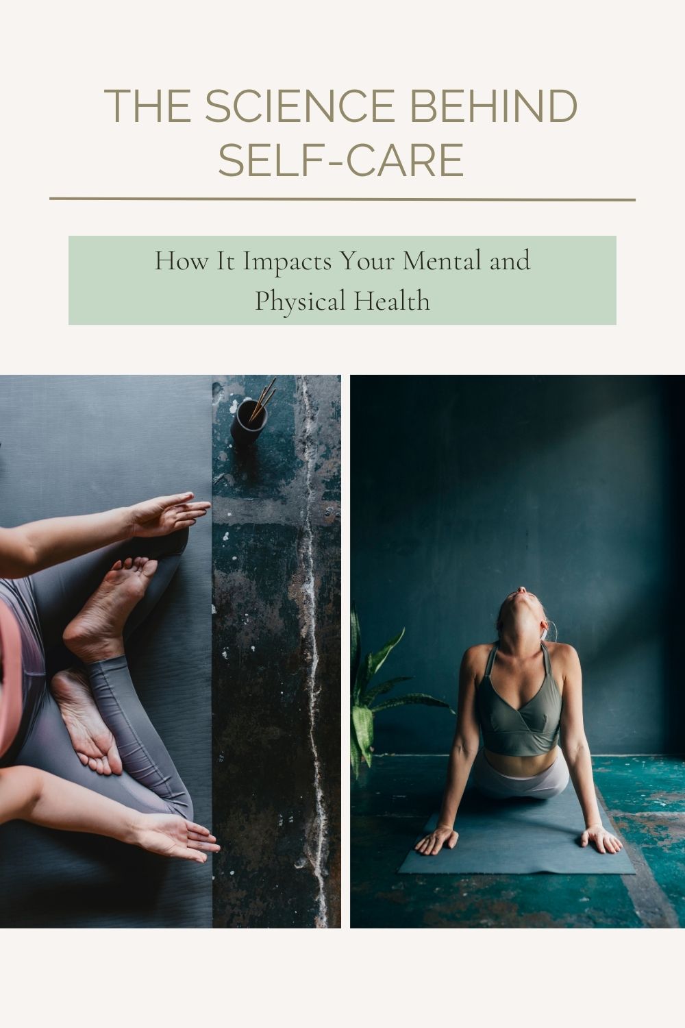 Guide to Aromatherapy: Boost Your Self-Care Routine | Monsuri